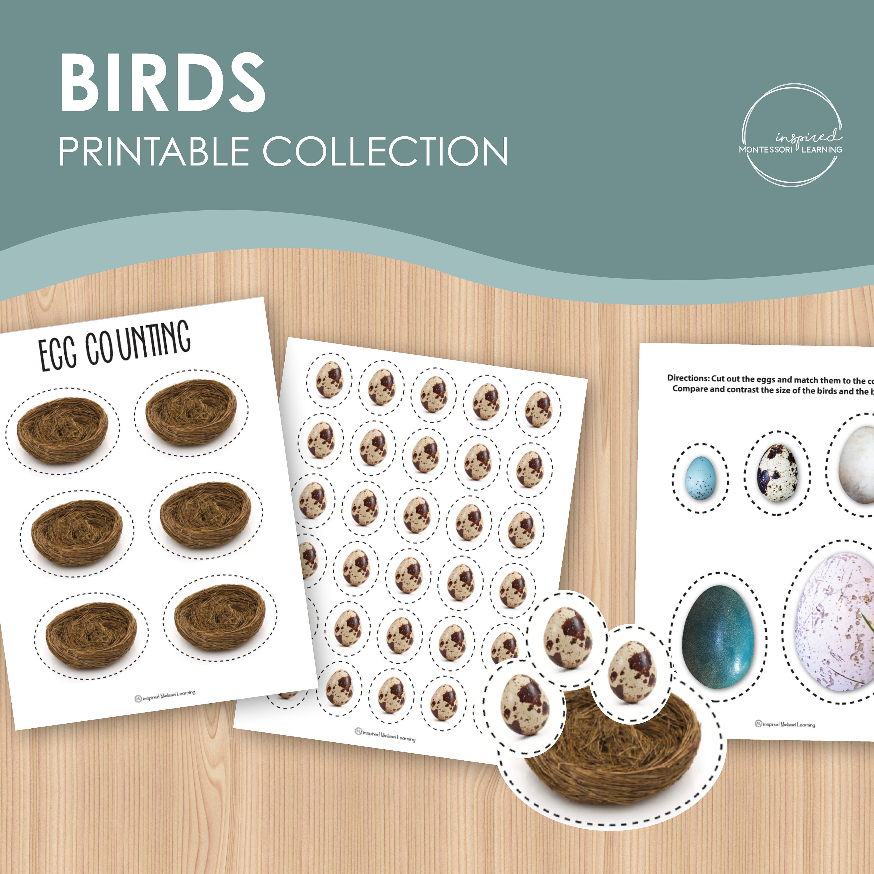 Birds Printable Collection, Montessori Inspired Animal Activity for ...