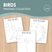 Birds Printable Collection, Montessori Inspired Animal Activity for ...