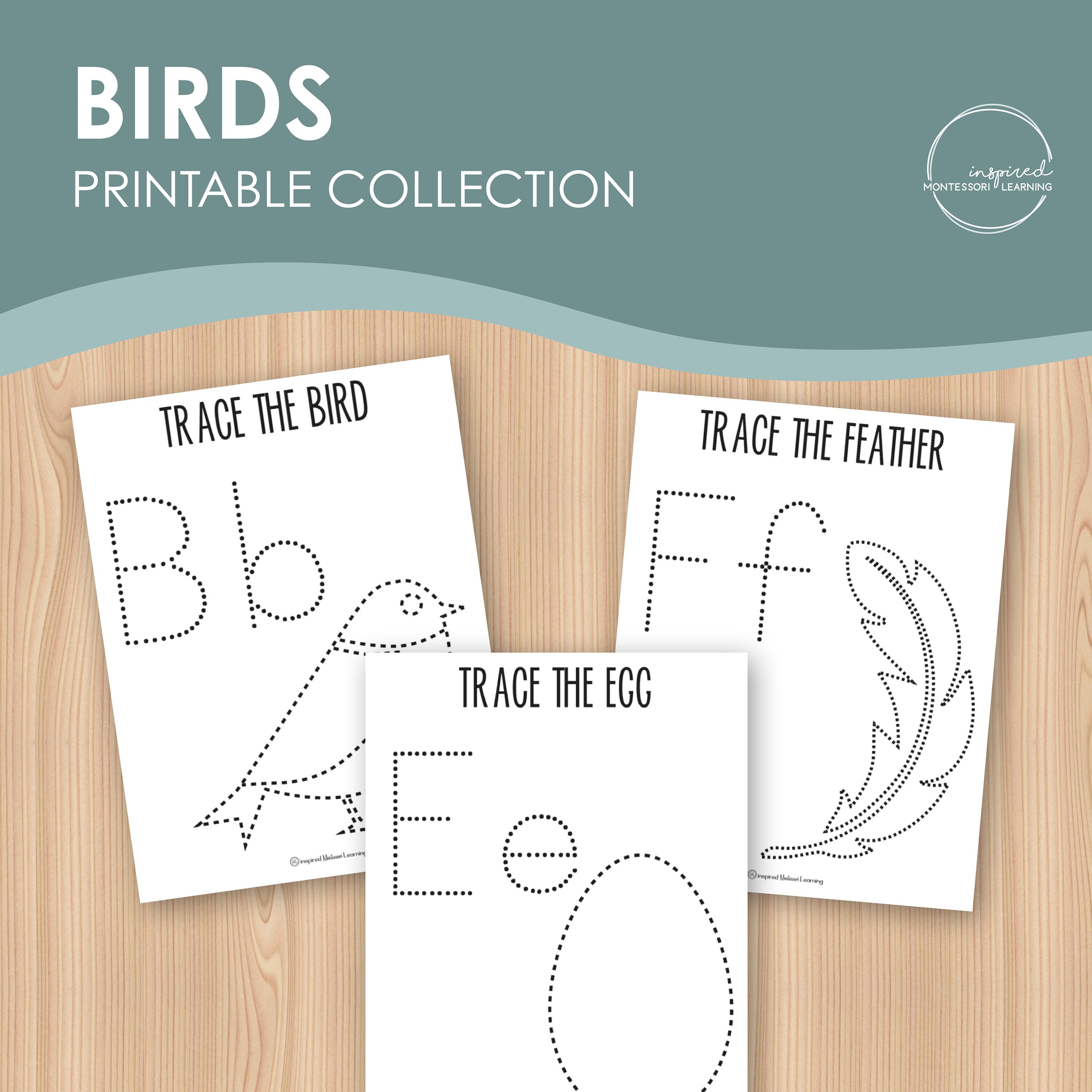 Birds Printable Collection, Montessori Inspired Animal Activity for ...
