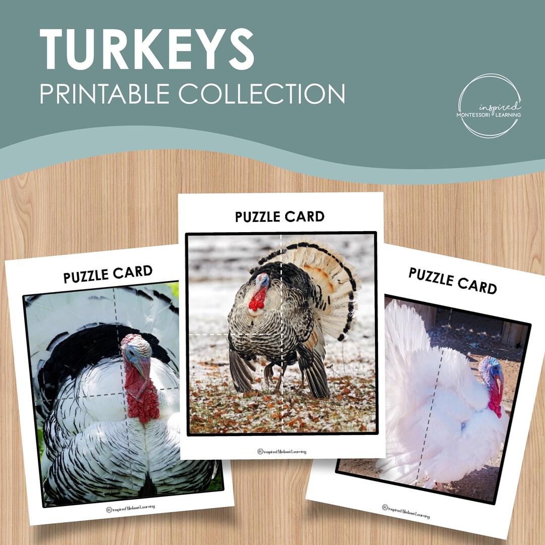 Turkey Printable Collection, Thanksgiving Activity, Fall Activity ...