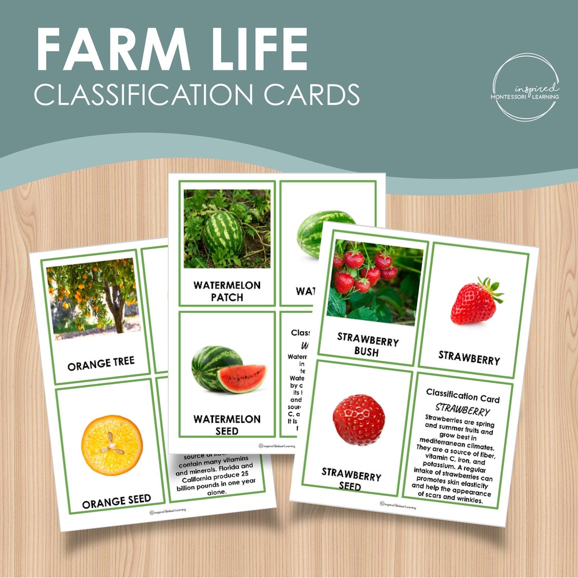 Farm Life Printable Flashcards, Preschool Activity, Kindergarten ...