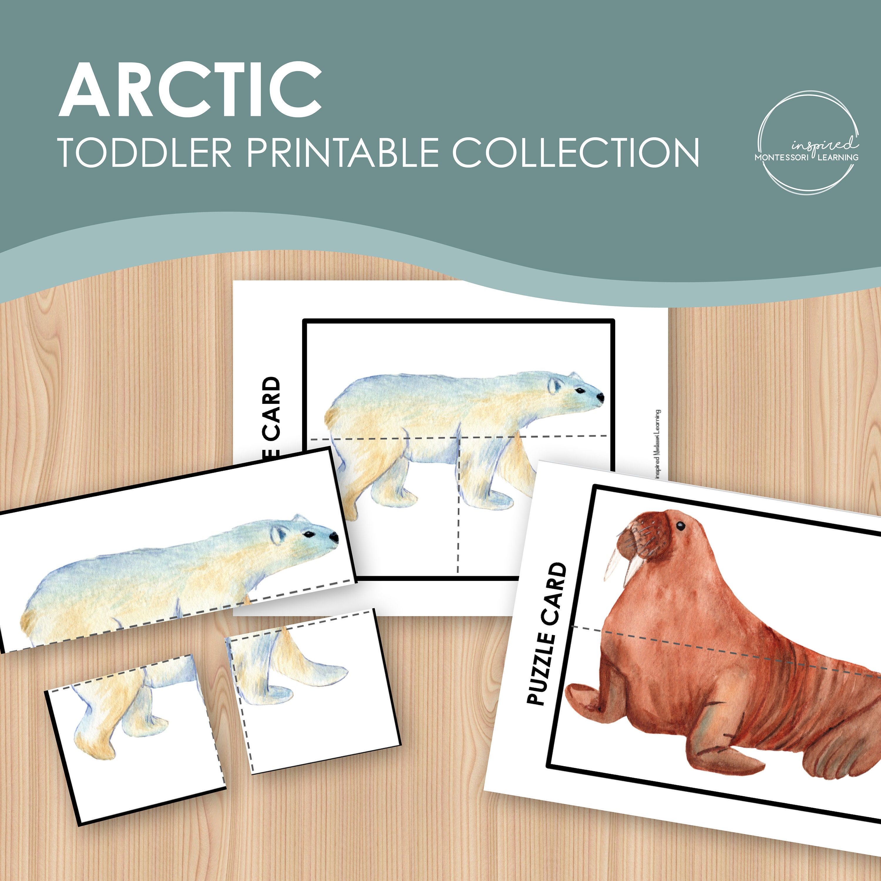 Arctic Regions Printable Collection for Toddlers, Montessori Inspired ...