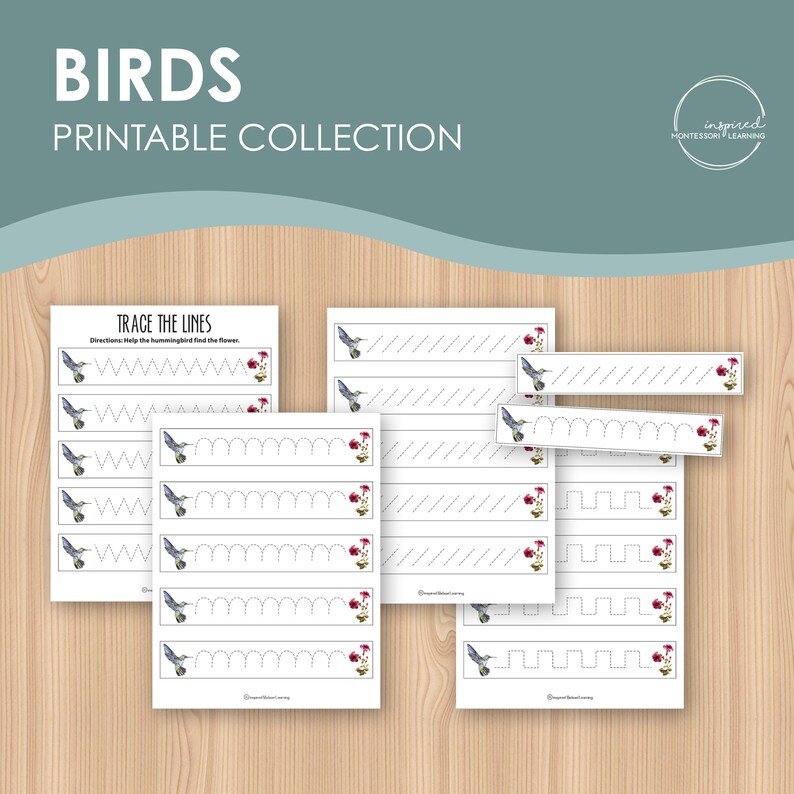 Birds Printable Collection, Montessori Inspired Animal Activity for ...
