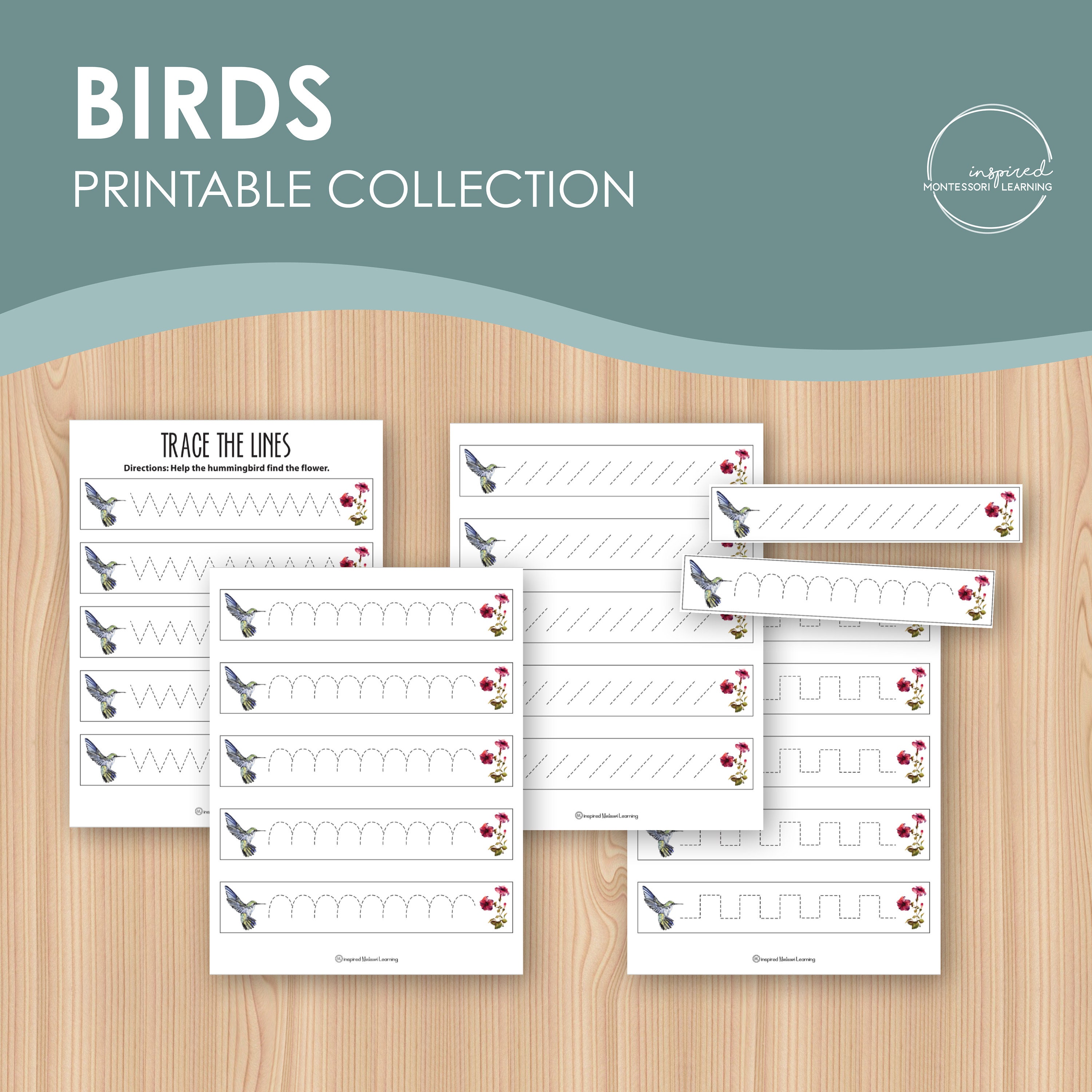 Birds Printable Collection, Montessori Inspired Animal Activity for ...
