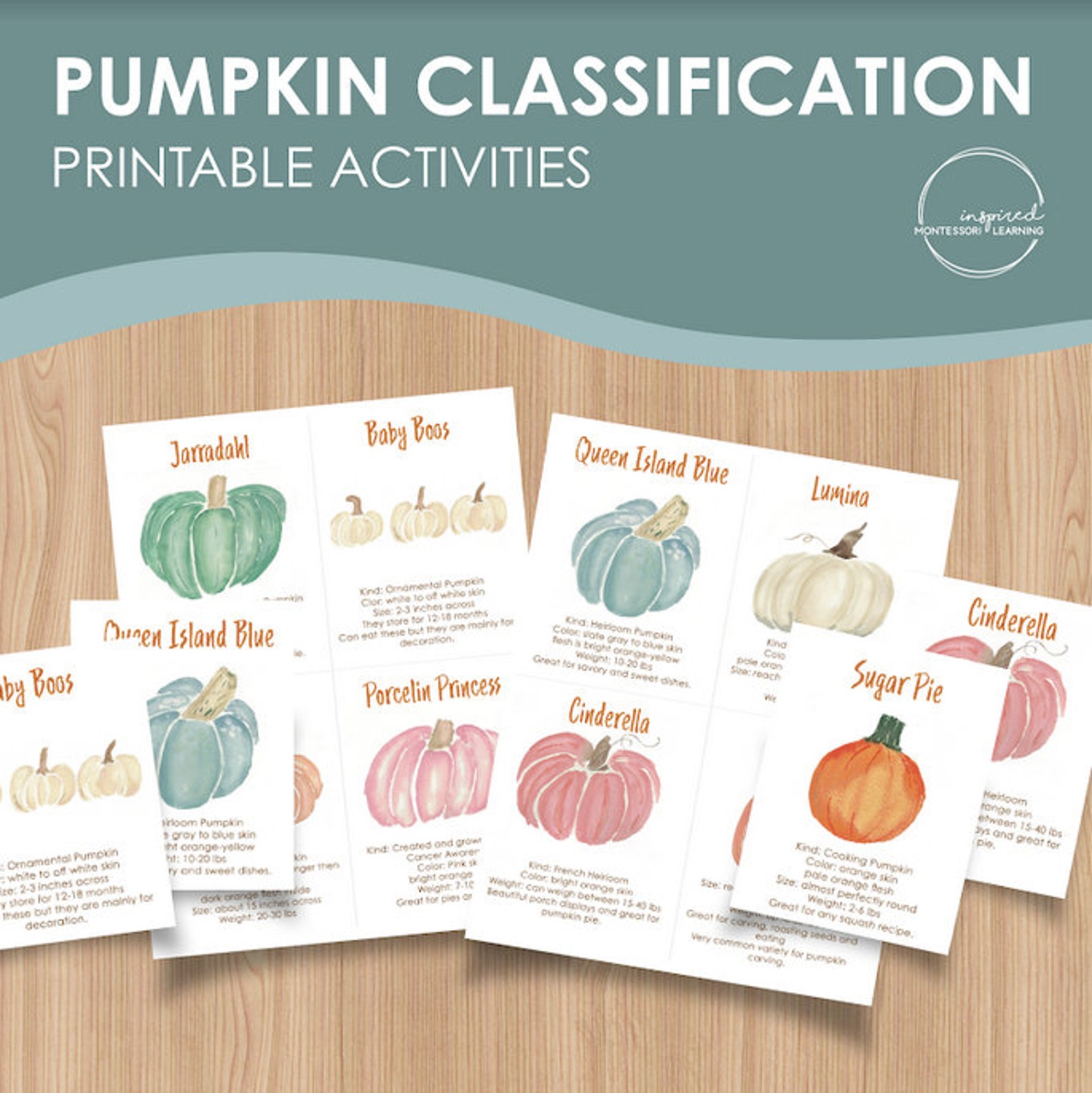 Pumpkin Flash Cards, Pumpkin Activity, Fall Activity, Preschool ...