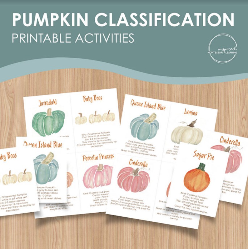 Pumpkin Flash Cards, Pumpkin Activity, Fall Activity, Preschool ...