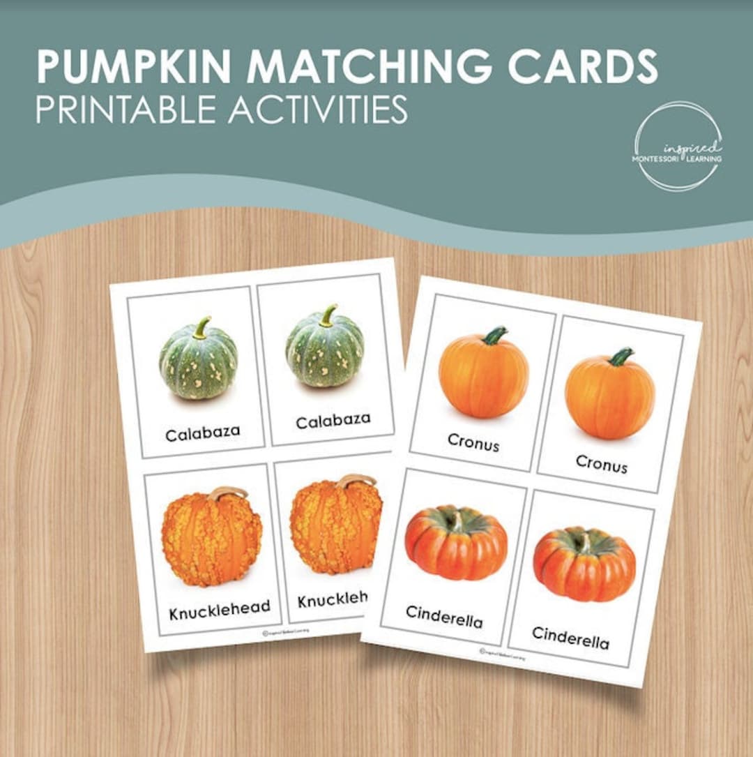 Pumpkin Matching Cards, Preschool Matching Cards, Montessori Matching ...