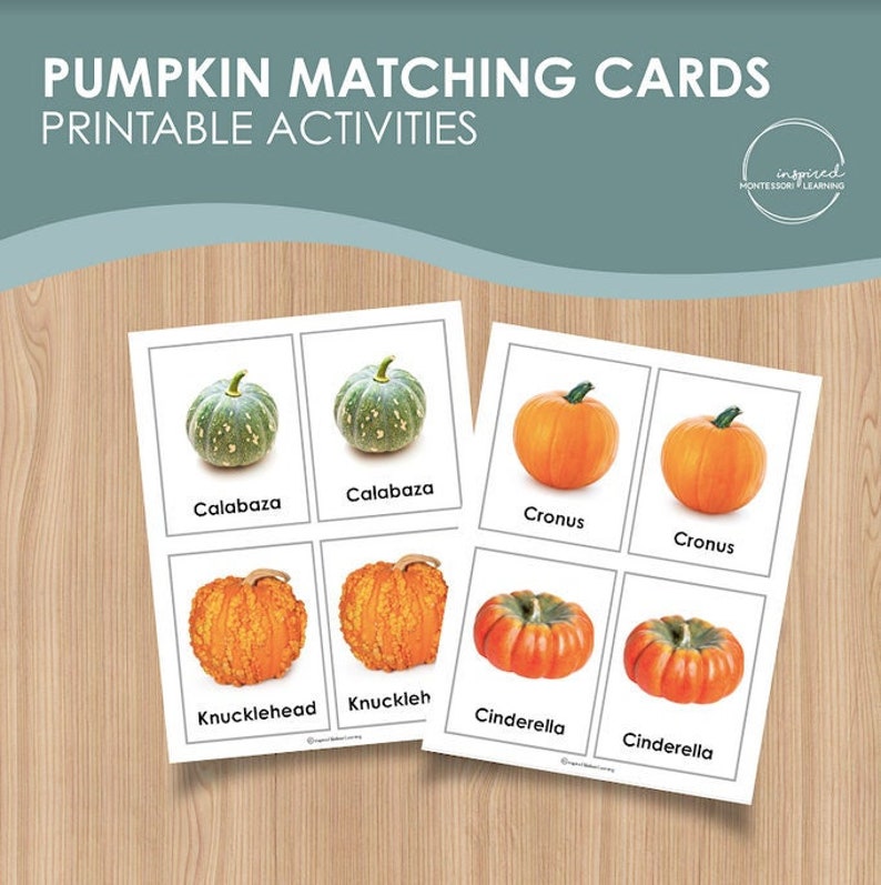 Pumpkin Matching Cards, Preschool Matching Cards, Montessori Matching ...