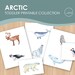 Arctic Regions Printable Collection for Toddlers, Montessori Inspired ...