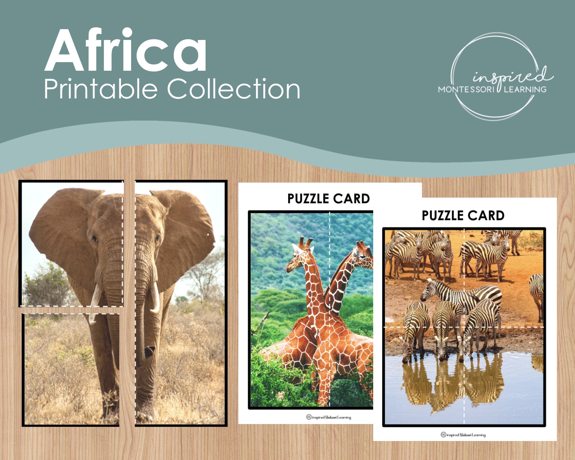 Africa Continent Study, African Animal Matching, Tracing Words and ...