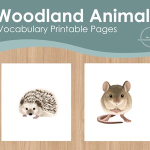 Winter Woodland Animals Vocabulary Cards, Montessori Inspired ...