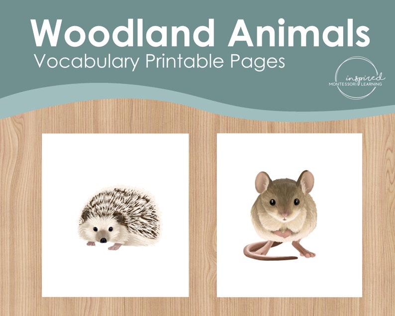 Winter Woodland Animals Vocabulary Cards, Montessori Inspired ...