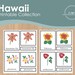 Hawaii Flowers & Map Printable Activity, Flower 3 Part Cards, Tropical ...