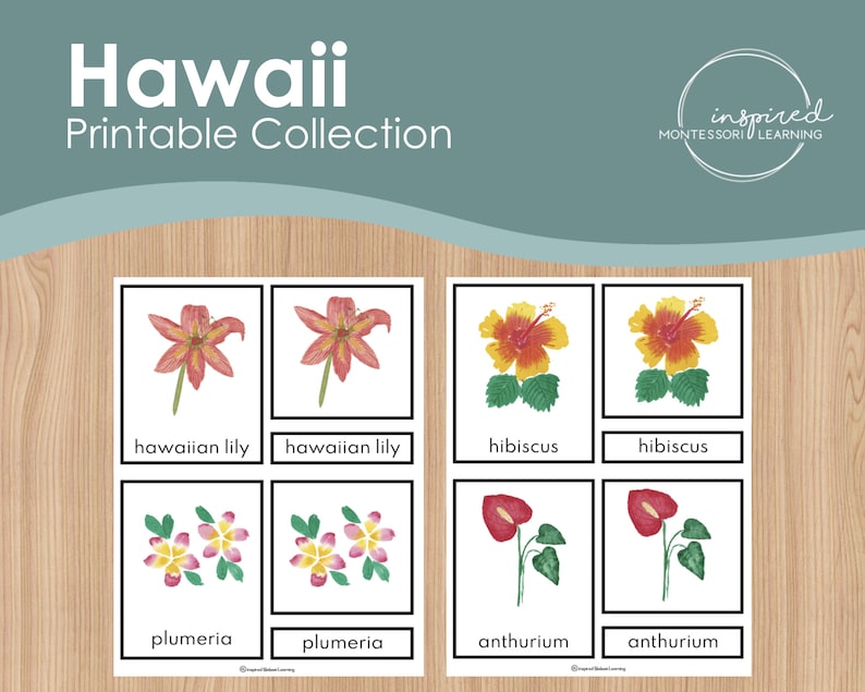 Hawaii Flowers & Map Printable Activity, Flower 3 Part Cards, Tropical ...
