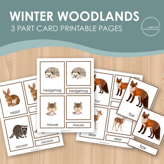 Winter Woodland 3-part Cards Montessori Inspired Flash Cards | Etsy
