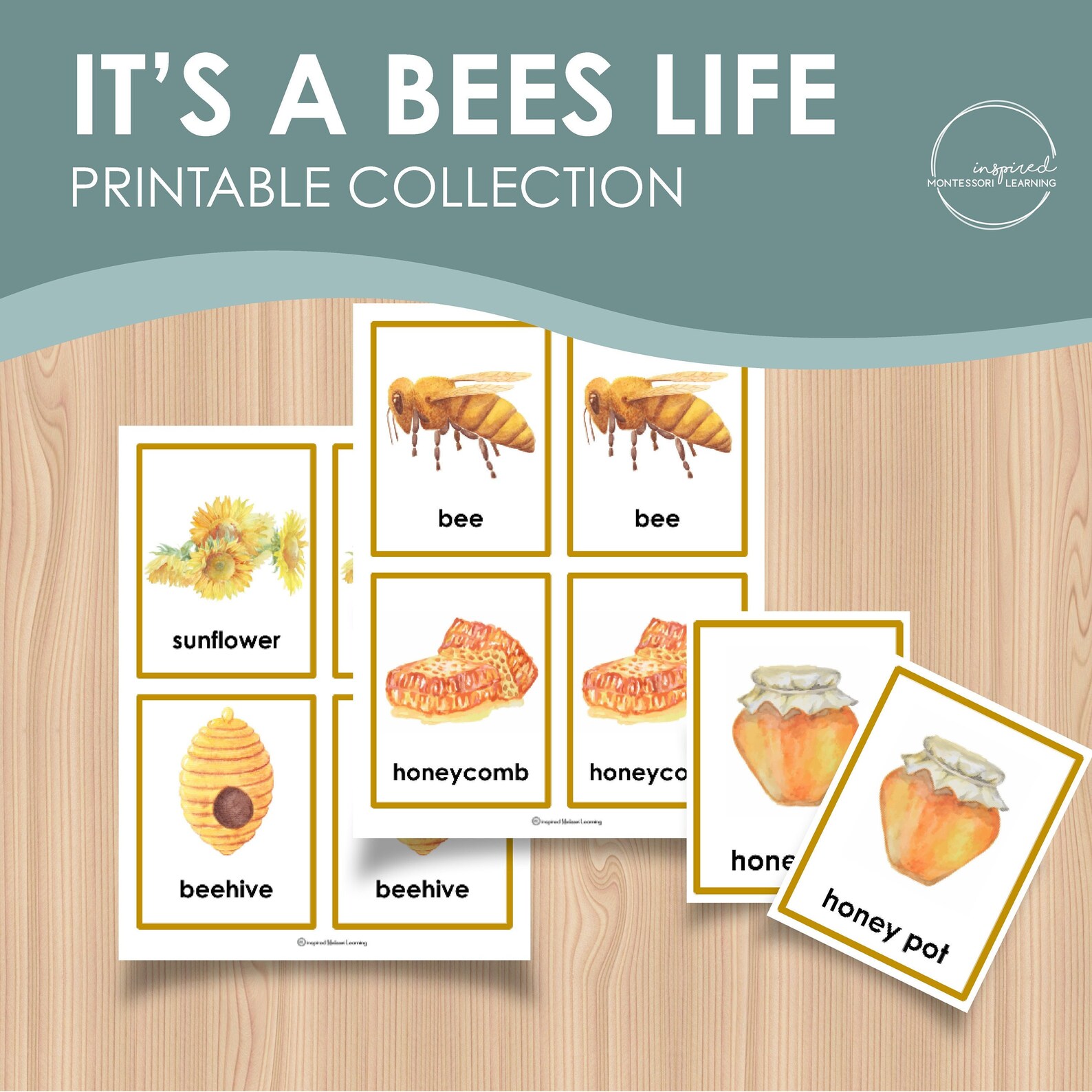 Honey Bee Printable Activity, Toddler Activity, Lesson Plan, Homeschool ...