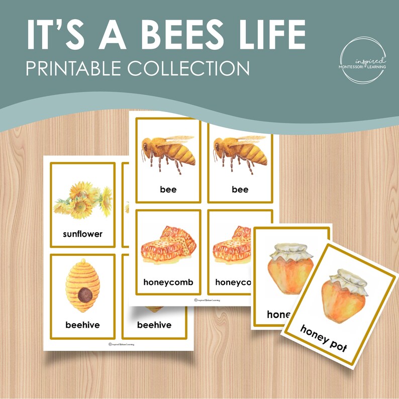 Honey Bee Printable Activity, Toddler Activity, Lesson Plan, Homeschool ...