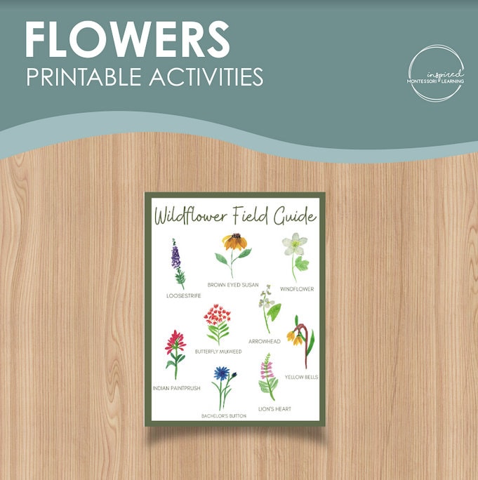 Flower Printable Activity, Preschool Activity, Kindergarten Printable ...