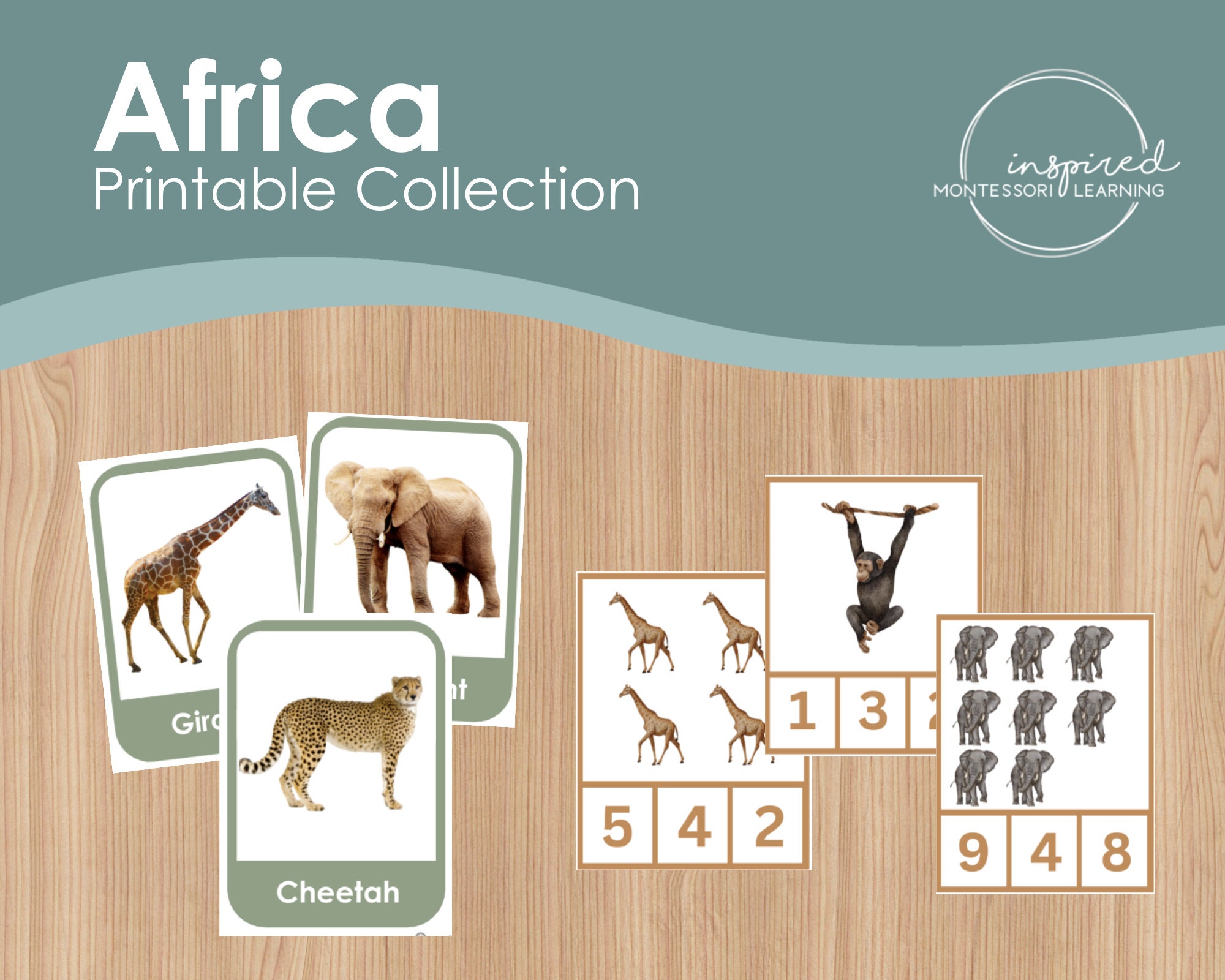 Africa Continent Study, African Animal Matching, Tracing Words and ...