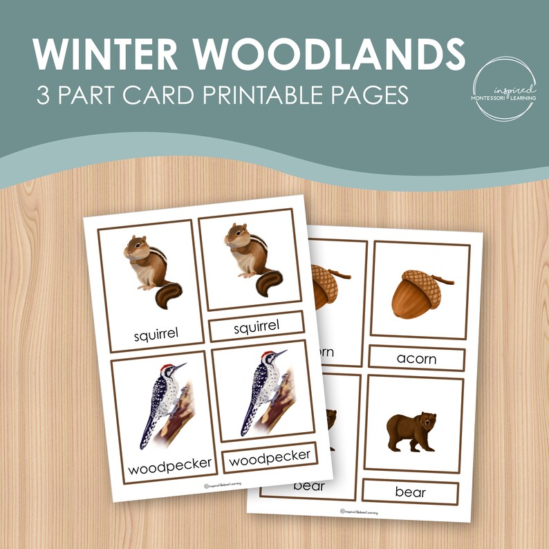 Winter Woodland 3-part Cards, Montessori Inspired Flash Cards, Matching ...