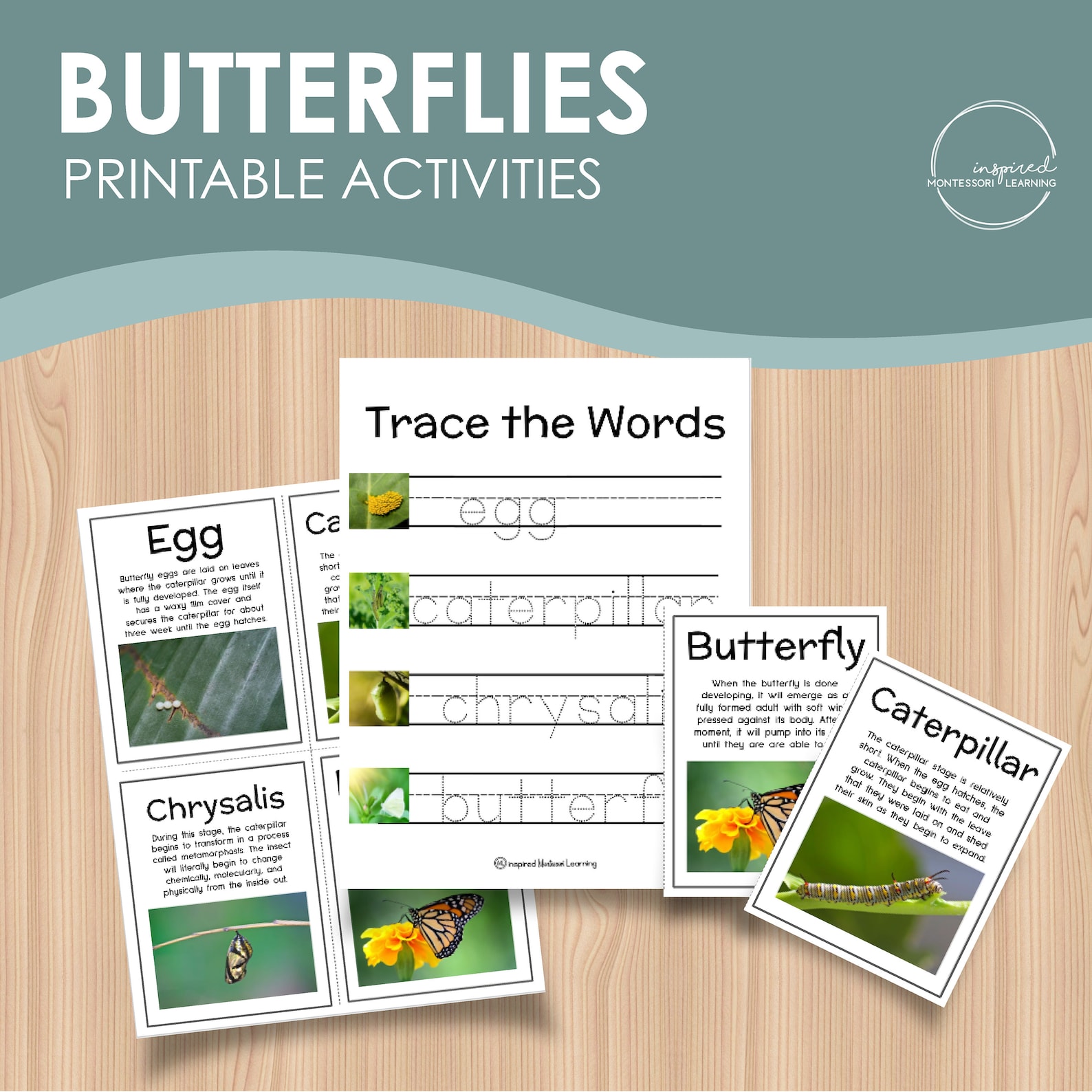 Butterfly Printable Activity, Kindergarten Science, Homeschool ...