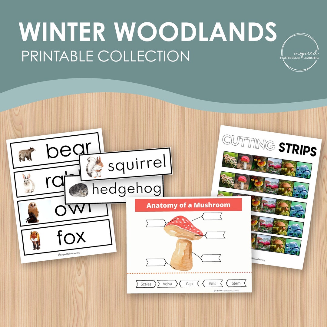 Winter Woodland Printable Collection, Preschool Winter Activity ...