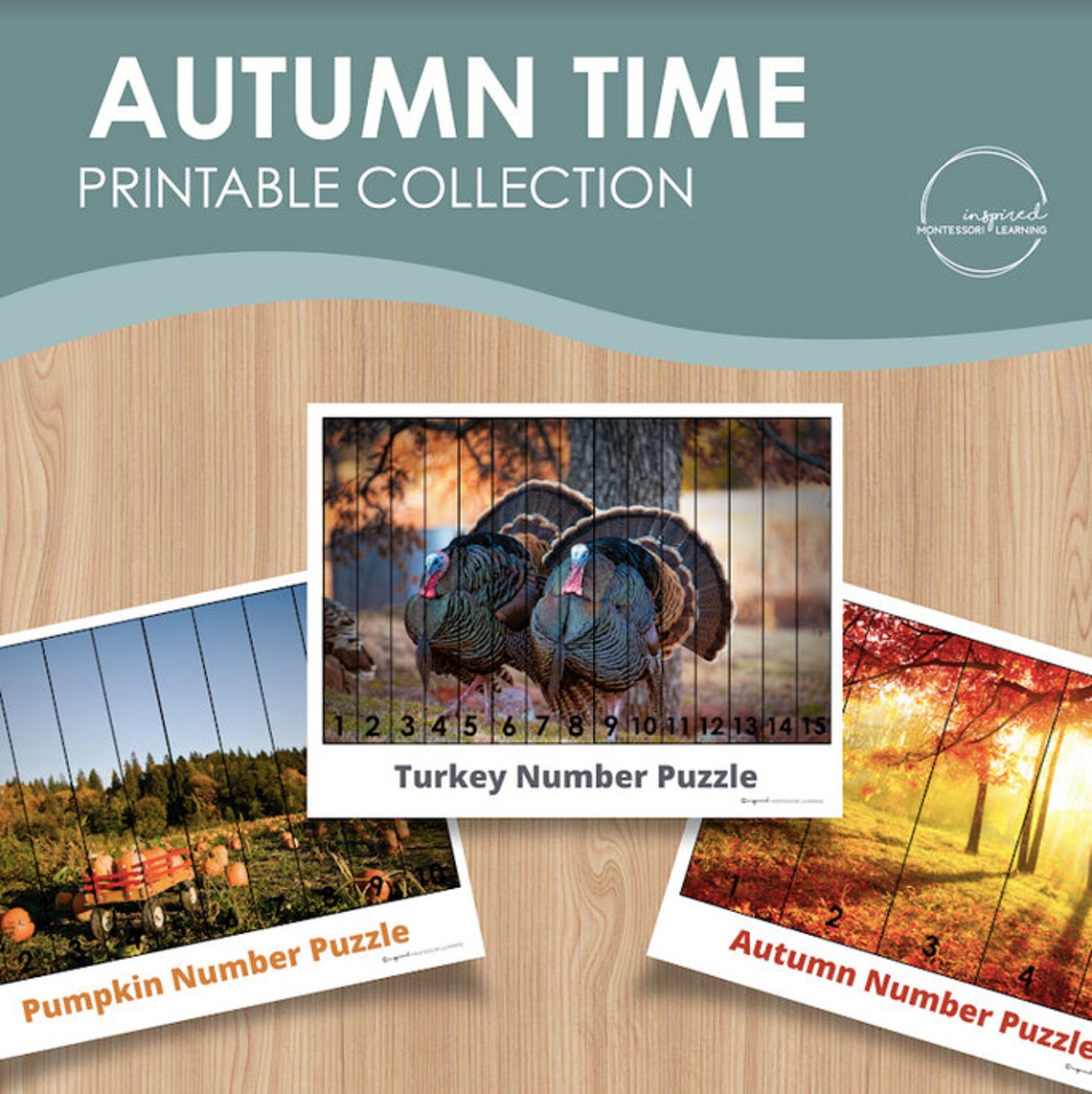 Autumn Printable Activity, Fall Kids Activity, Fall Printable ...