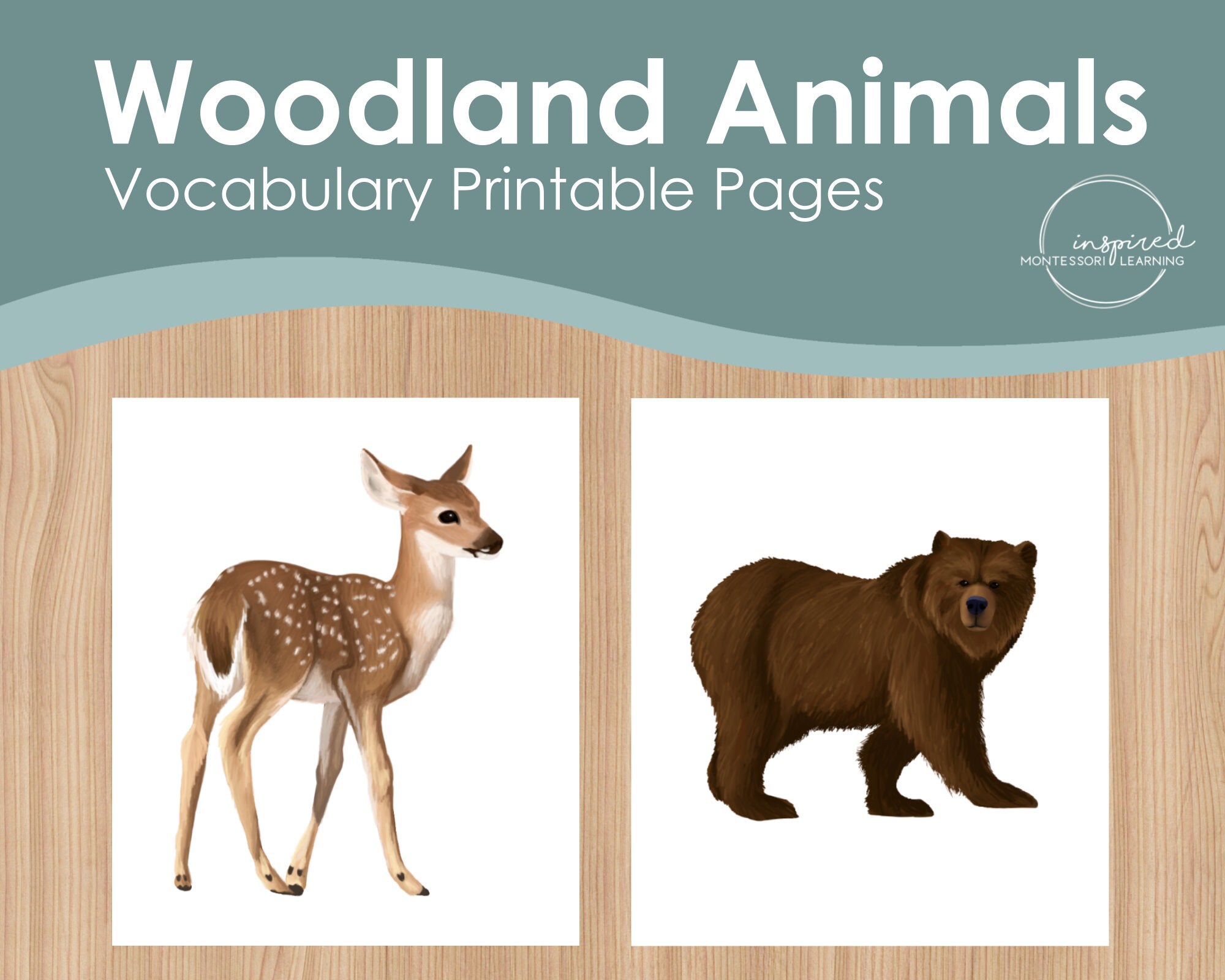 Winter Woodland Animals Vocabulary Cards, Montessori Inspired ...