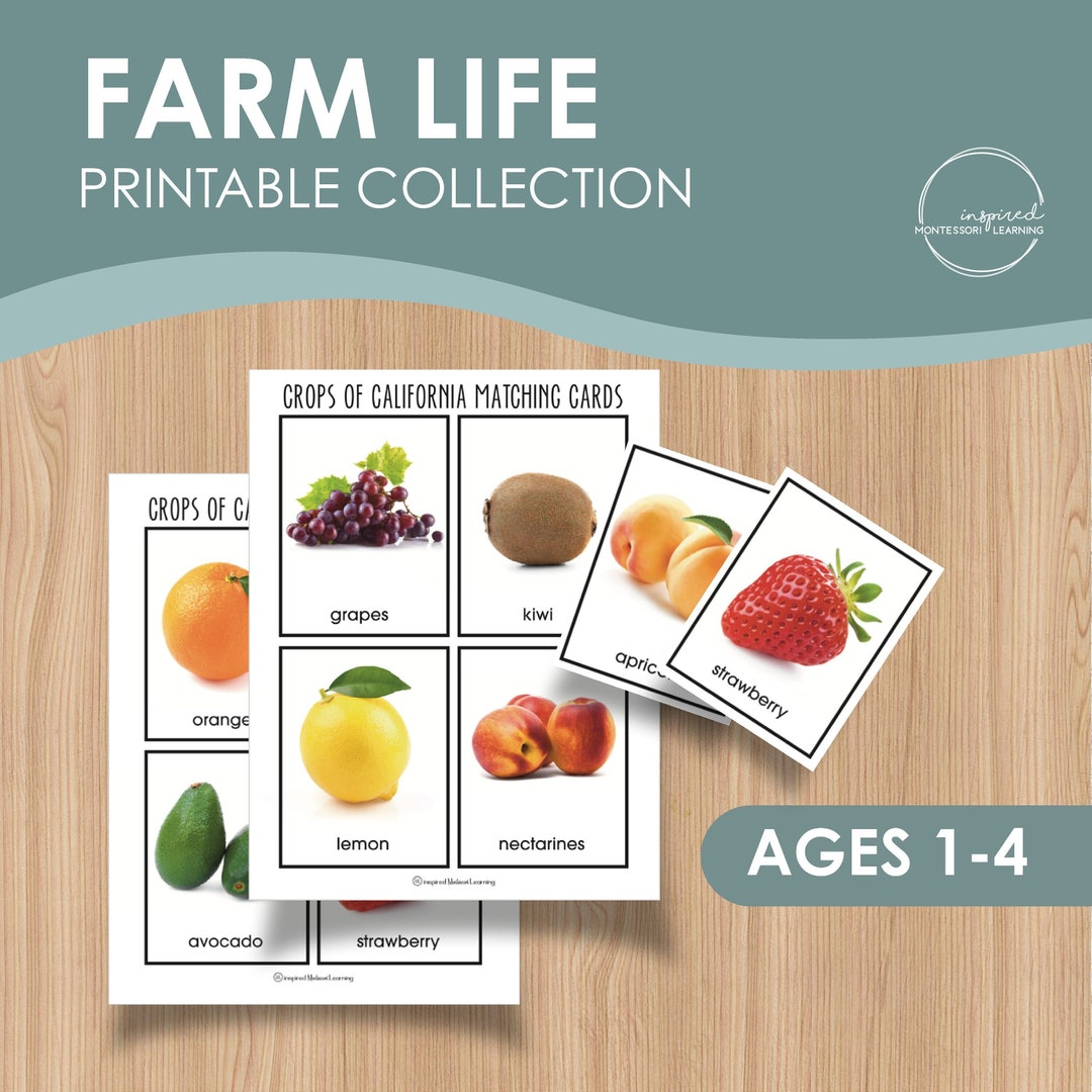 Farm Life Printable Activity, Preschool Printable, Montessori Printable ...