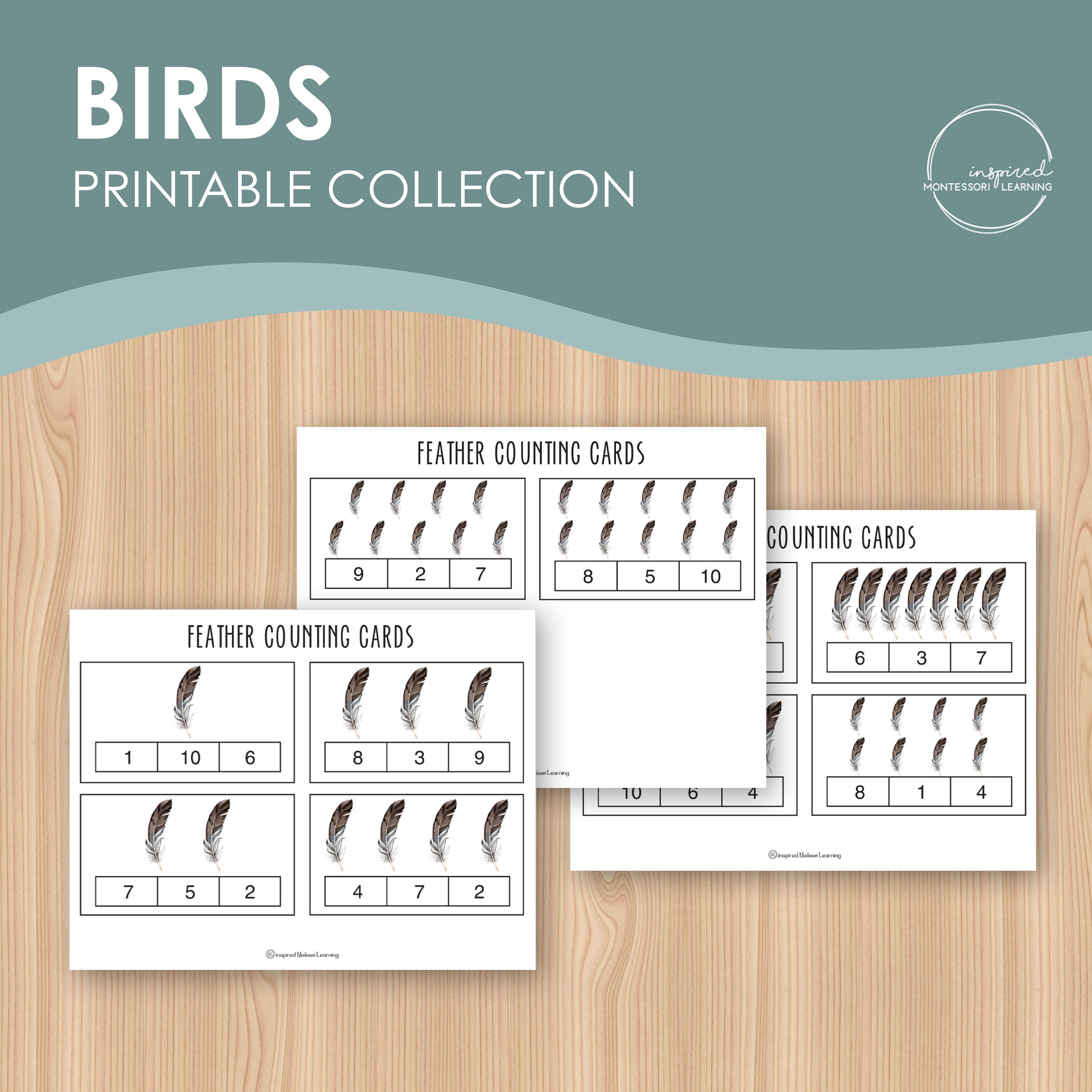 Birds Printable Collection, Montessori Inspired Animal Activity for ...