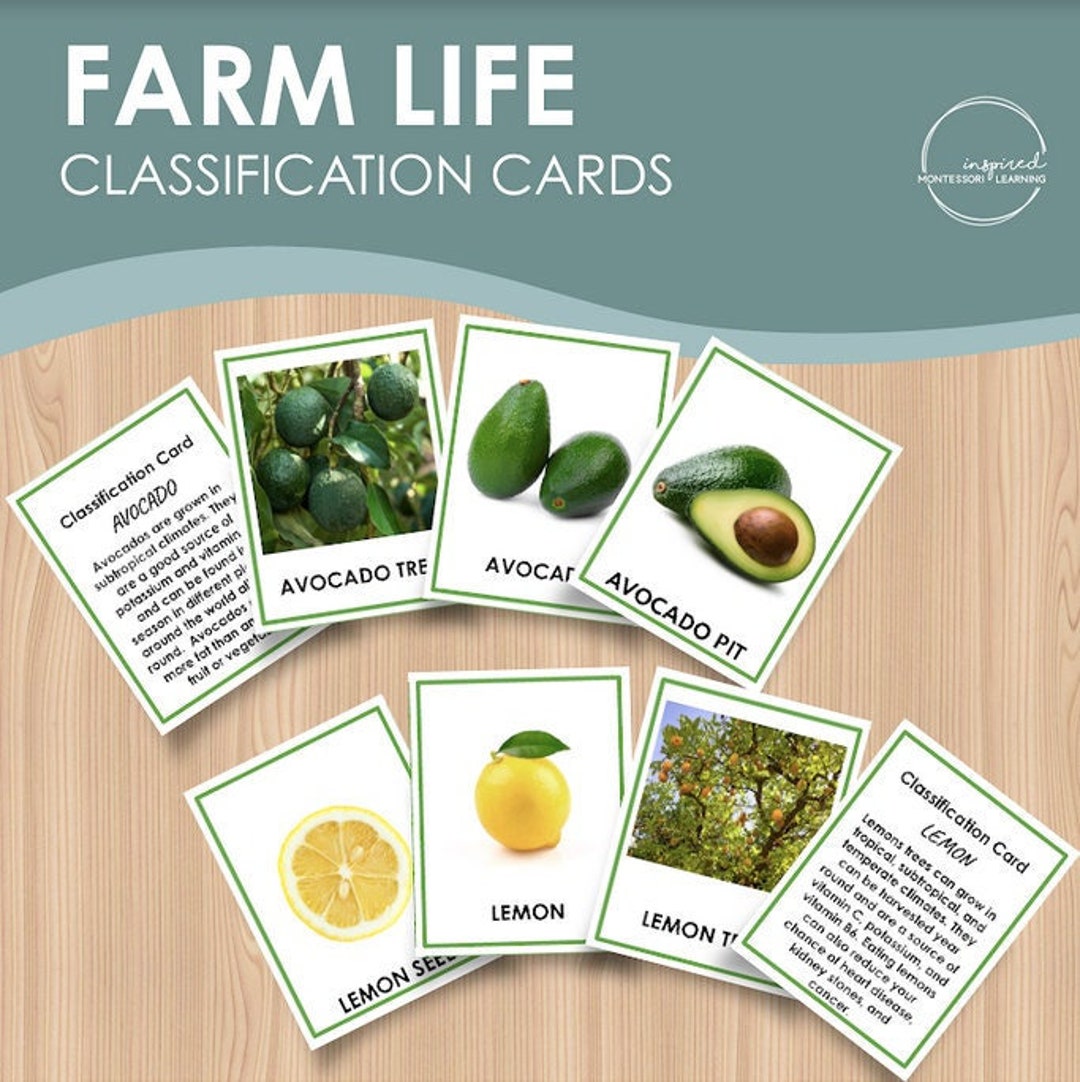 Farm Life Printable Flashcards, Preschool Activity, Kindergarten ...