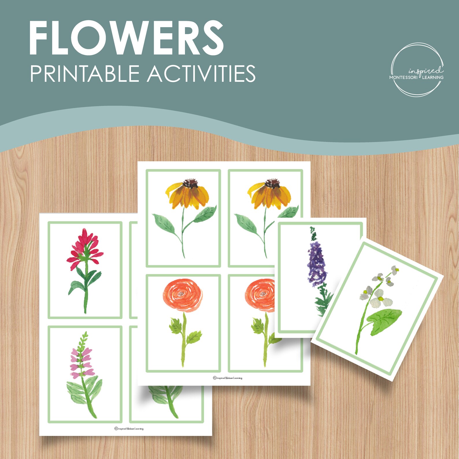 Flower Printable Activity, Preschool Activity, Kindergarten Printable ...