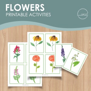 Flower Printable Activity, Preschool Activity, Kindergarten Printable ...