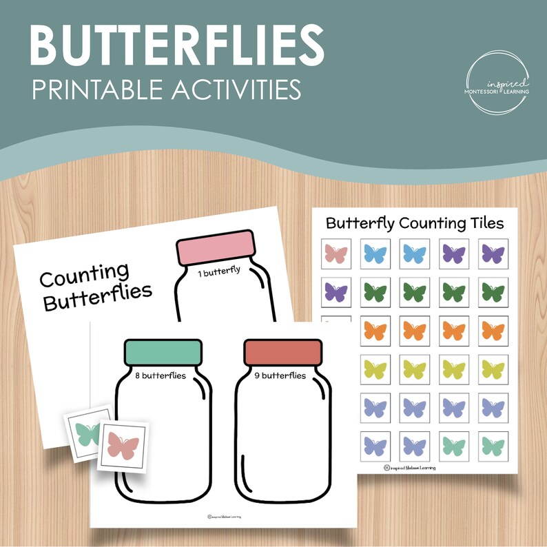 Butterfly Printable Activity, Kindergarten Science, Homeschool ...