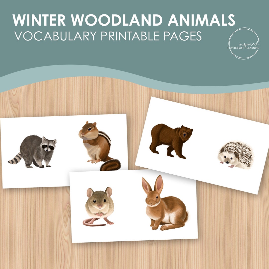 Winter Woodland Animals Vocabulary Cards Montessori Inspired - Etsy