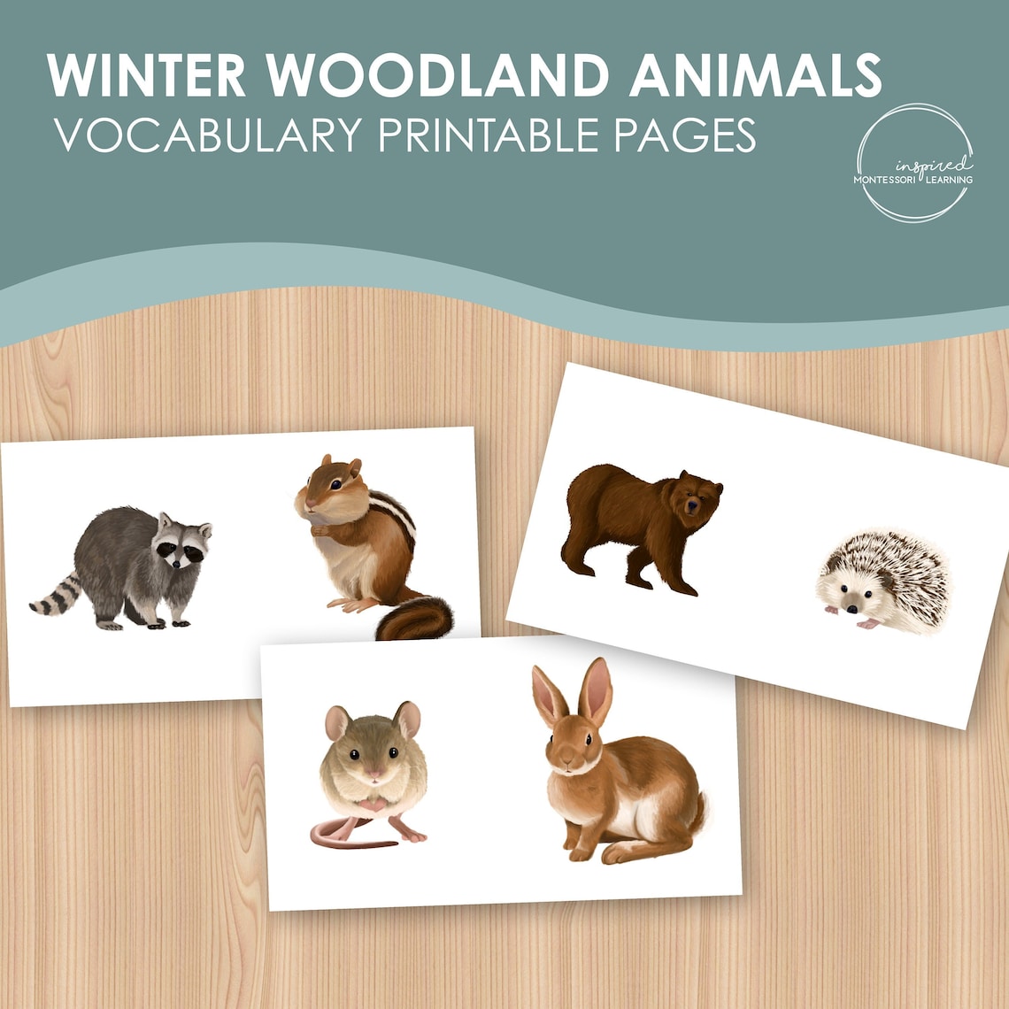 Winter Woodland Animals Vocabulary Cards Montessori Inspired - Etsy
