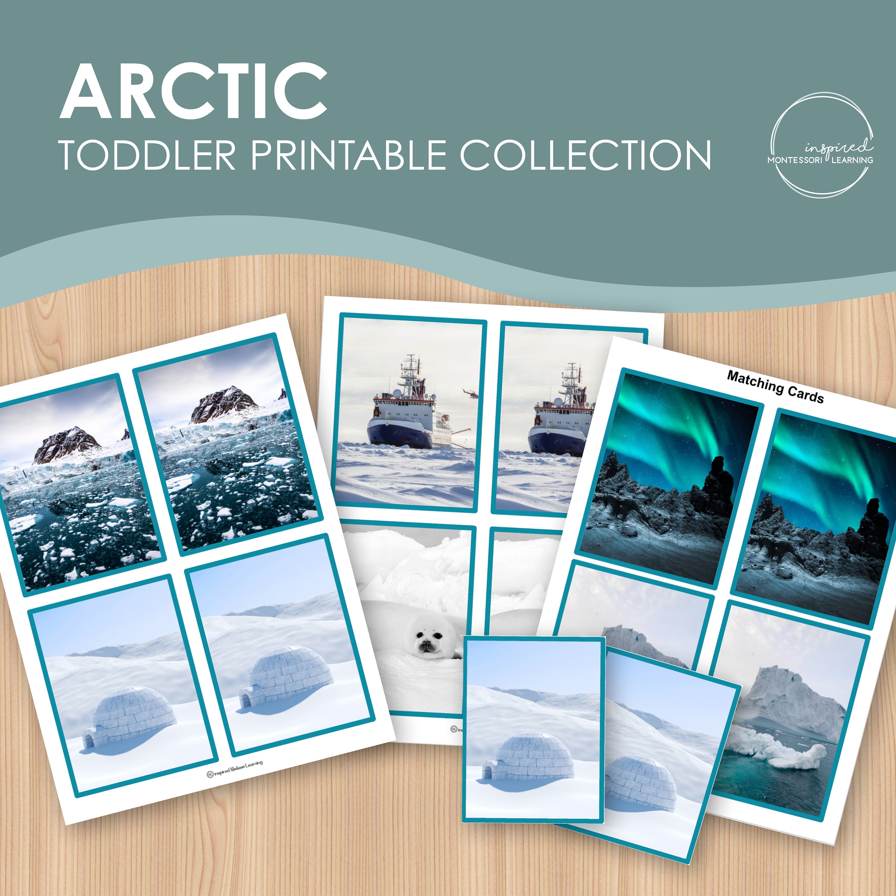 Arctic Regions Printable Collection for Toddlers, Montessori Inspired ...
