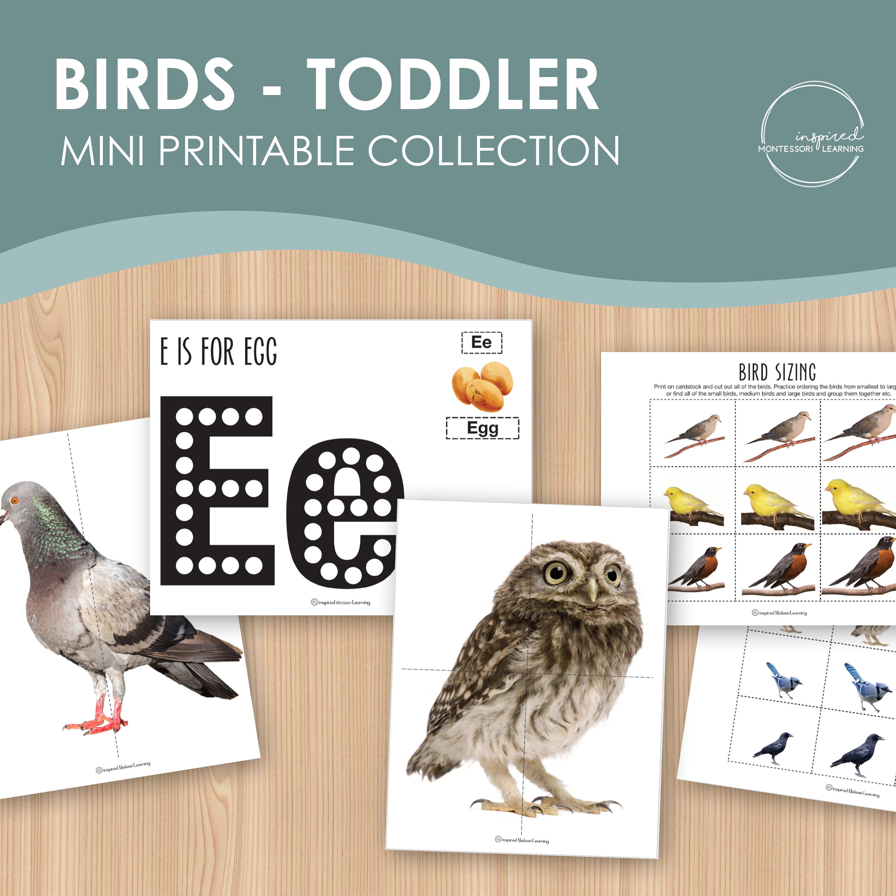 Birds Toddler Mini Collection, Toddler Printable Activity, Montessori ...