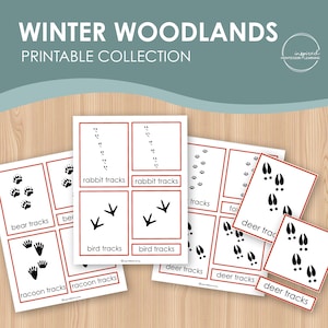 Winter Woodland Printable Collection, Preschool Winter Activity ...