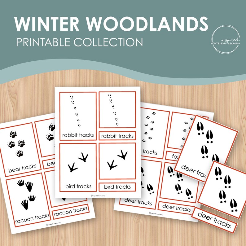 Winter Woodland Printable Collection, Preschool Winter Activity ...