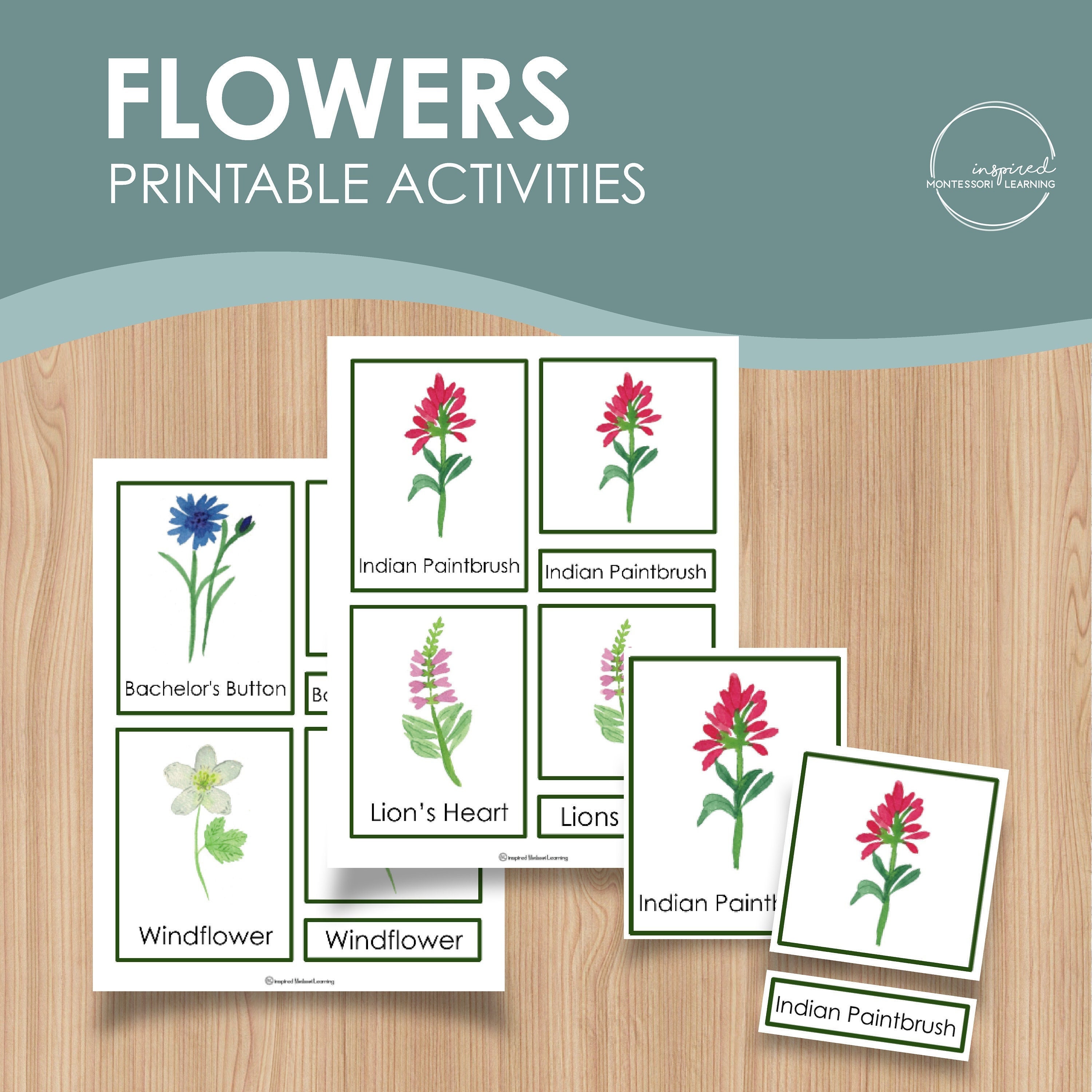 Flower Printable Activity, Preschool Activity, Kindergarten Printable ...