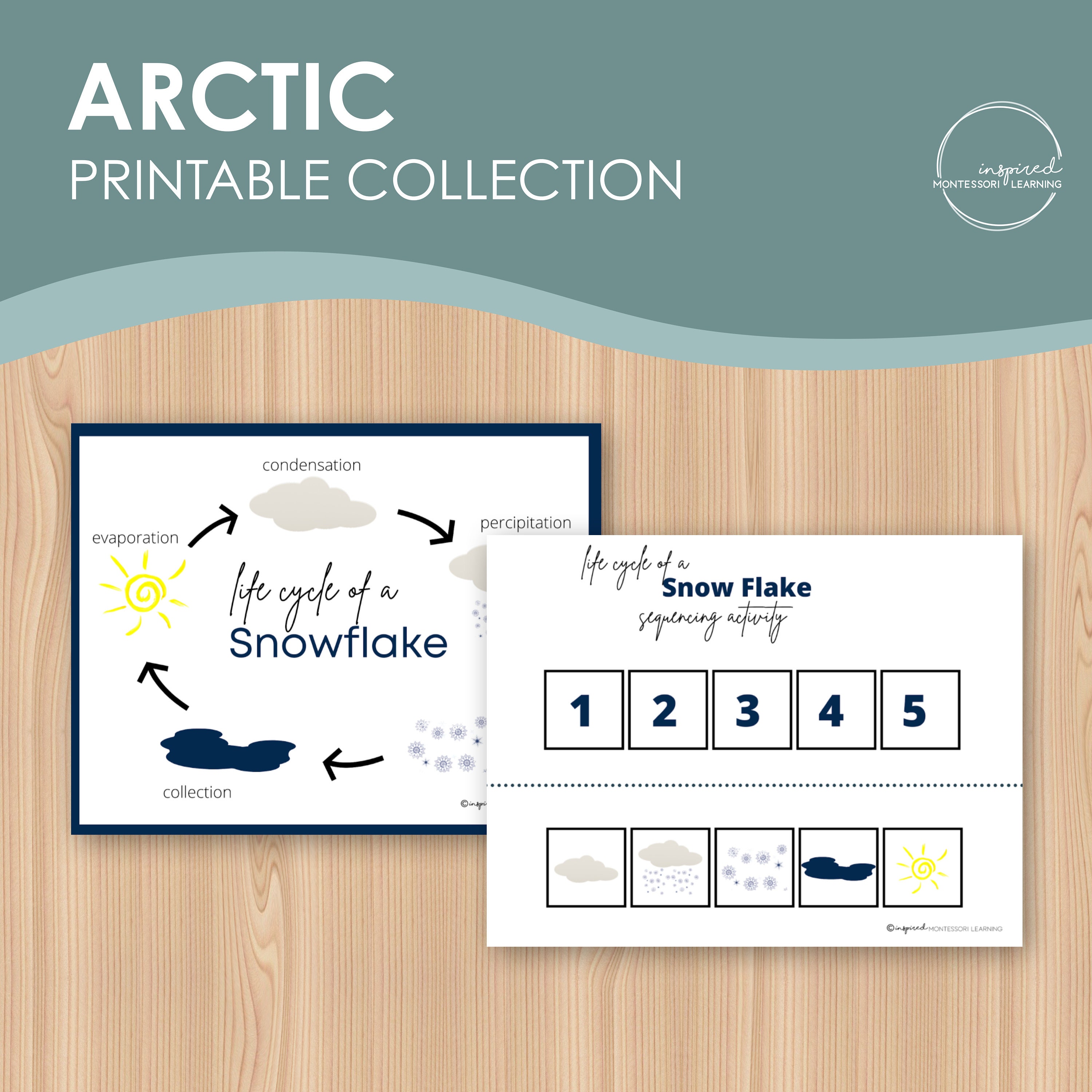 Arctic Printable Collection, Winter Printable, Winter Kids Crafts ...