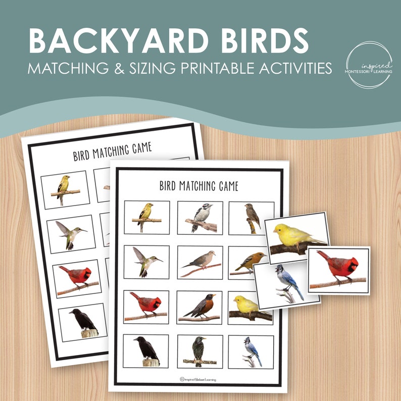 Backyard Birds Matching and Sizing, Montessori Inspired Bird Activity ...