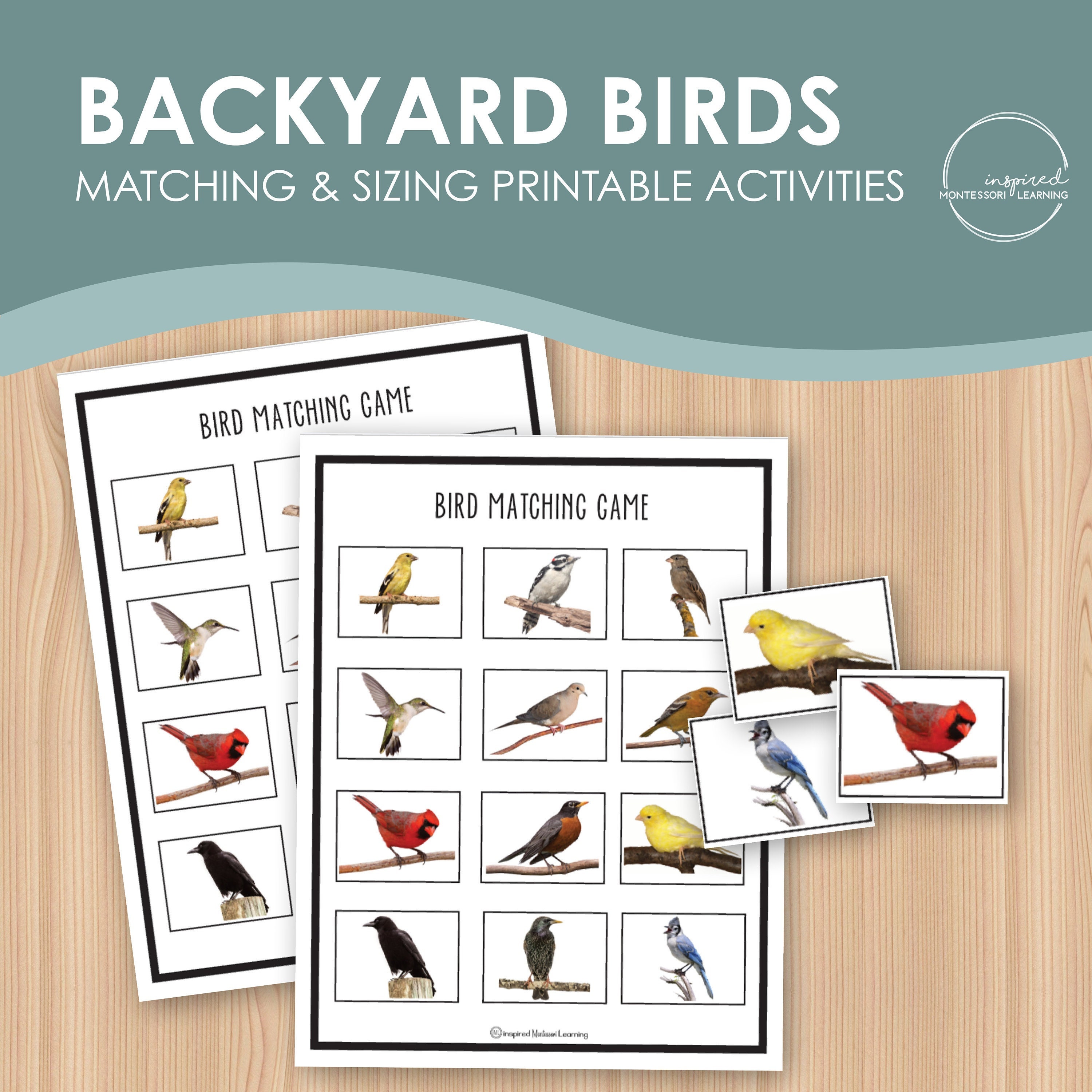 Backyard Birds Matching and Sizing, Montessori Inspired Bird Activity ...