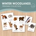 Winter Woodland Printable Collection, Preschool Winter Activity ...