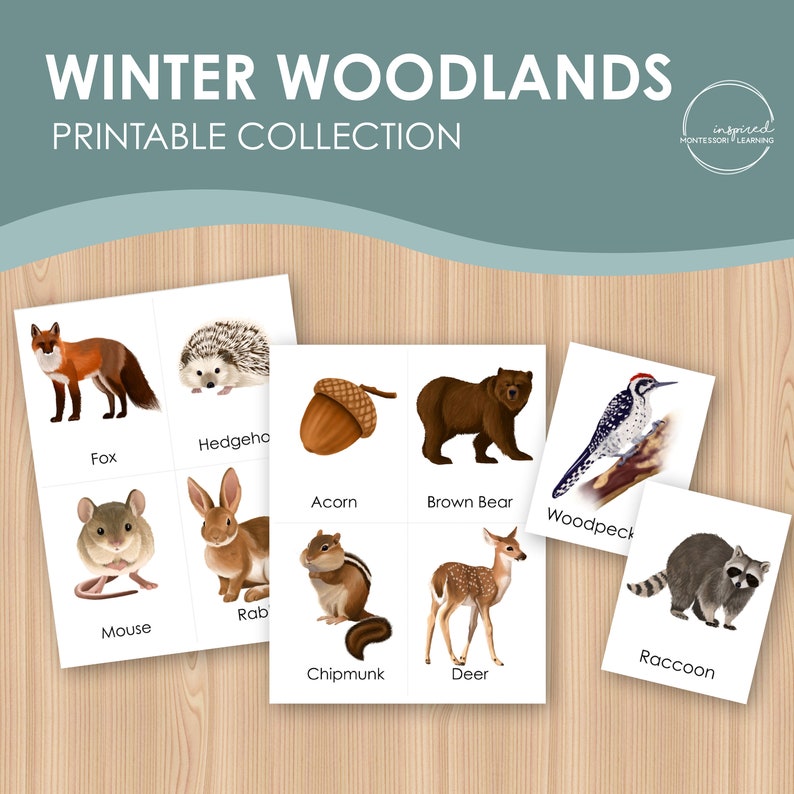 Winter Woodland Printable Collection, Preschool Winter Activity ...