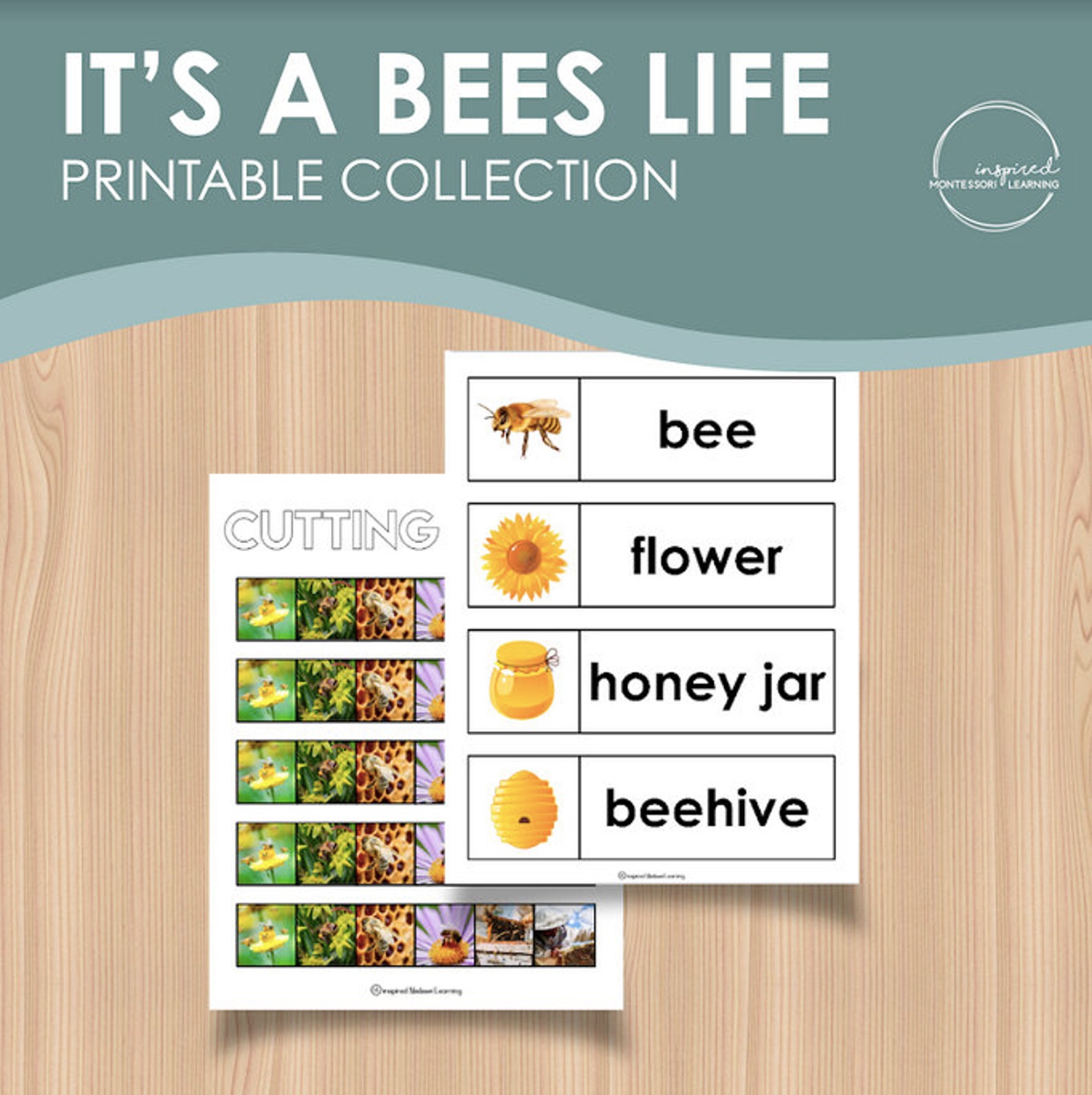 Honey Bee Printable Activity, Toddler Activity, Lesson Plan, Homeschool ...