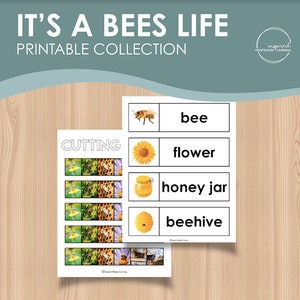 Honey Bee Printable Activity, Toddler Activity, Lesson Plan, Homeschool ...