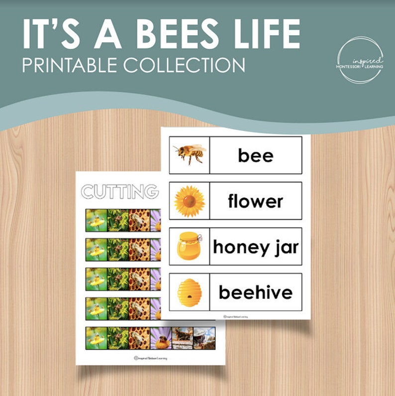 Honey Bee Printable Activity, Toddler Activity, Lesson Plan, Homeschool ...