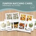 Pumpkin Matching Cards, Preschool Matching Cards, Montessori Matching ...